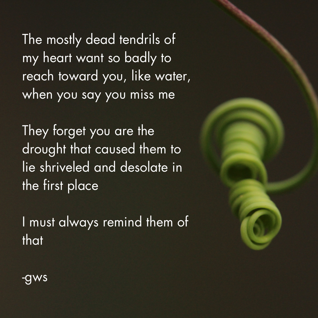Tendrils – Words Wishes and Wisdom